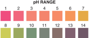Understanding pH and pH Strips: A Comprehensive Guide